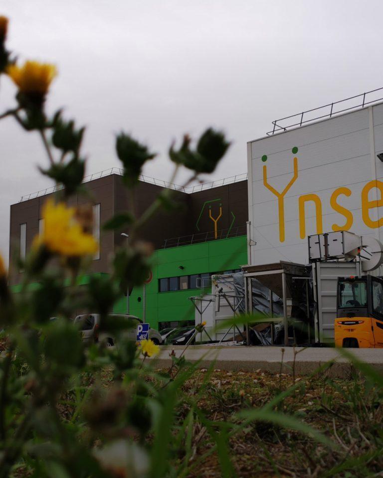 Ynsect - Reinventing The Food Chain