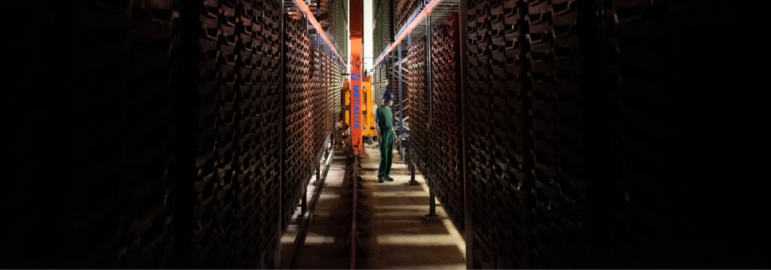 Ynsect - Reinventing The Food Chain