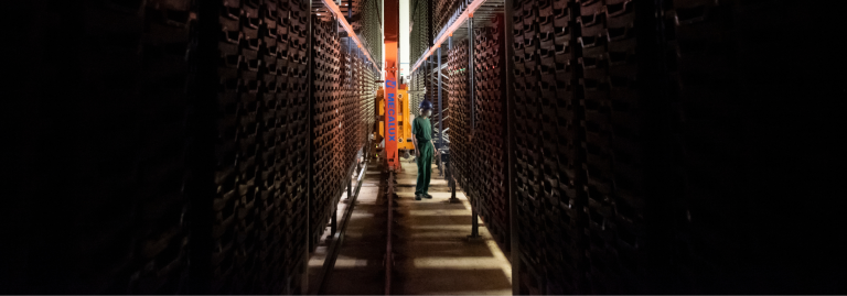 Ynsect - Reinventing The Food Chain