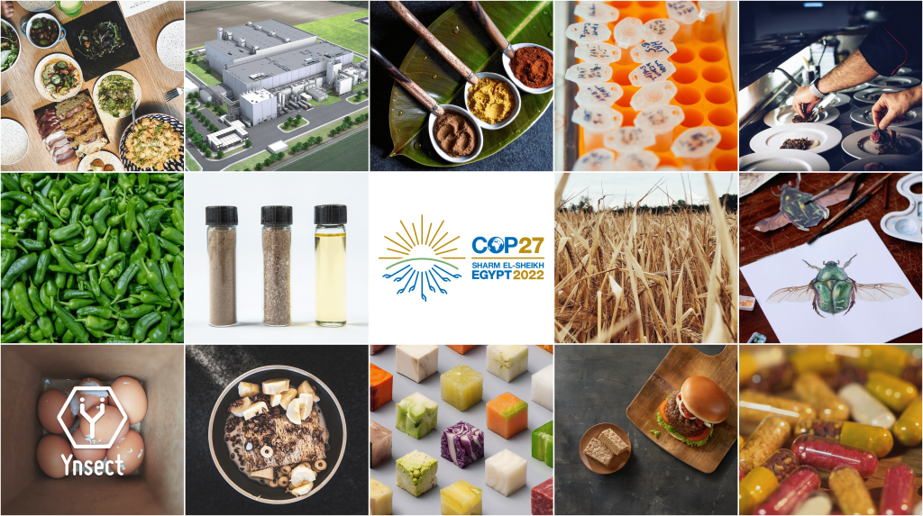 Insects are part of a diet that is both climate-friendly and risk ...